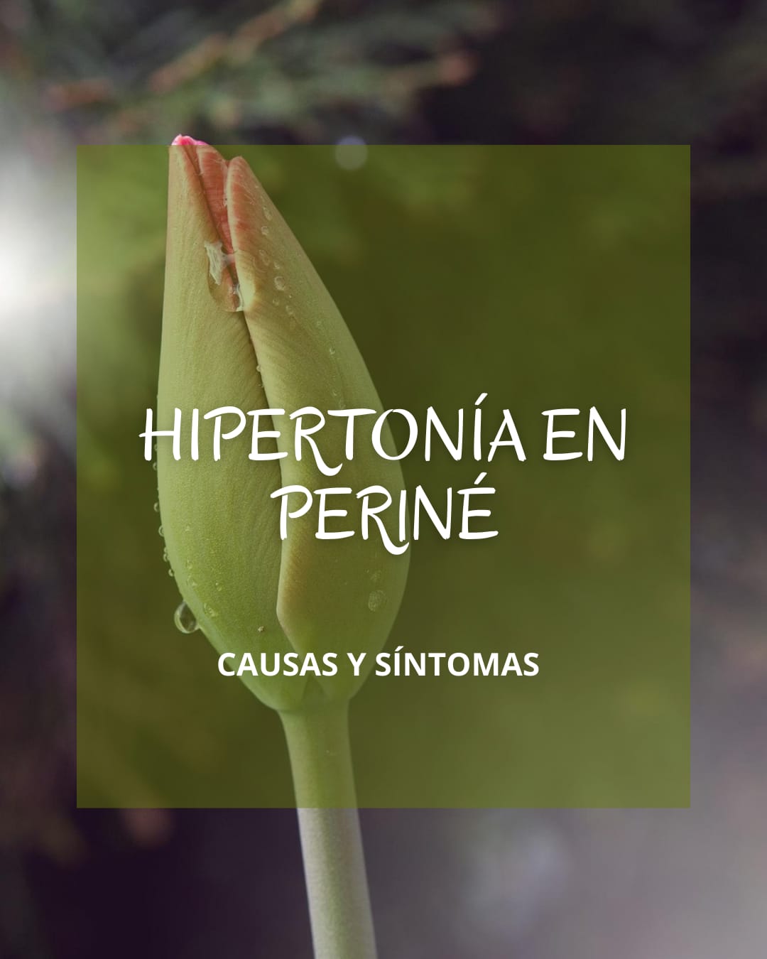 HIPERTONÍA EN SUELO PÉLVICO - Corpore Fisioterapia
